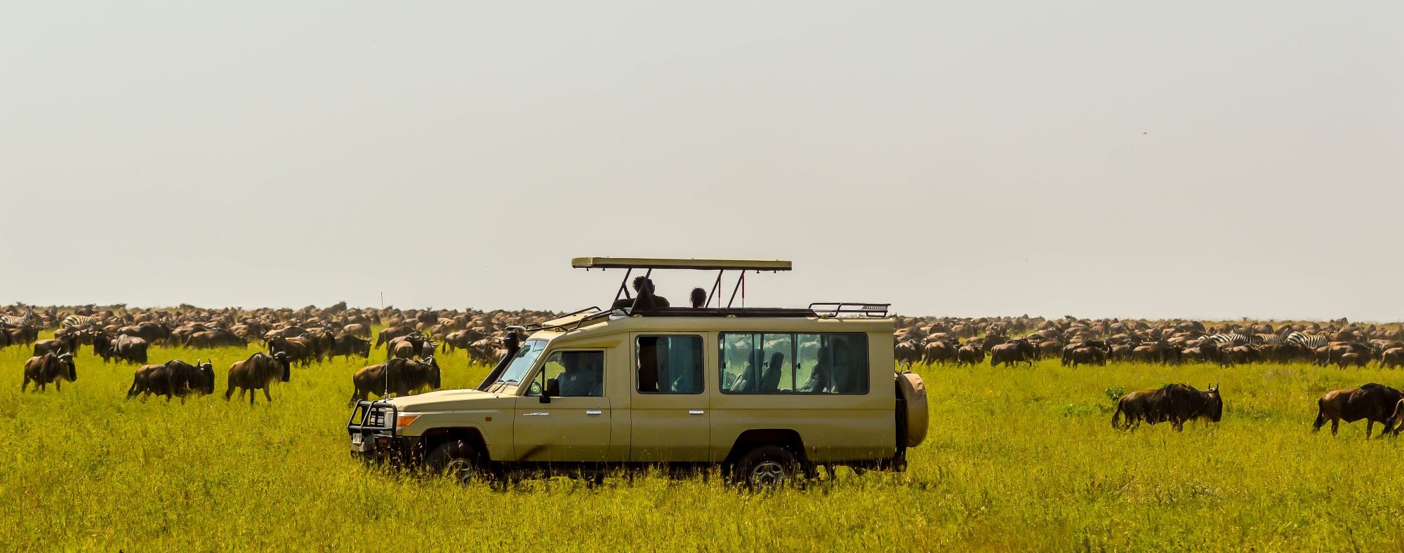 TANZANIA SAFARI - Quest Horizon Safaris